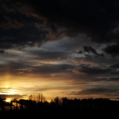 Stream Dr. Wilbur | Listen to Dr. Wilbur's theory of connectivity ...