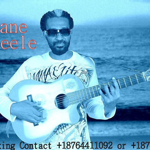 Stream Shane Steele - This litte Light by shanesteele | Listen online ...