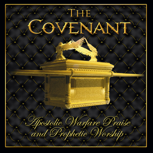 Stream Show Me Your Love by Ronda Jordan Pinson | Listen online for ...