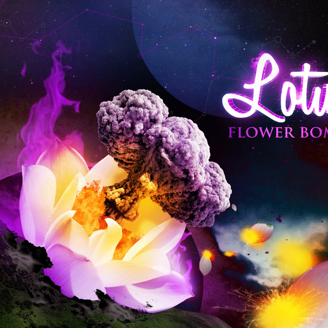 Lotus Flower Bomb Drawing