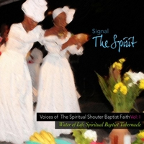 Stream SignalTheSpirit | Listen to Signal the Spirit: Voices of the ...