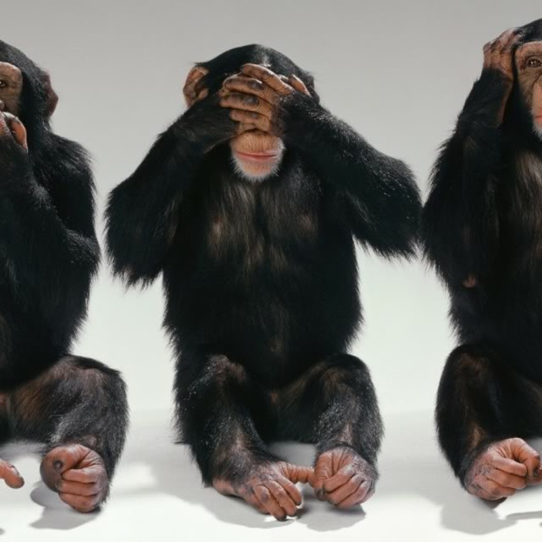 Stream viper | Listen to white girl music playlist online for free on ...