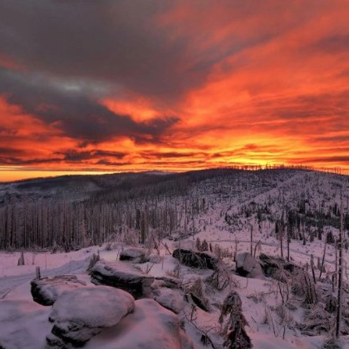 Stream Pump - FULL FLEX by bill-orme | Listen online for free on SoundCloud