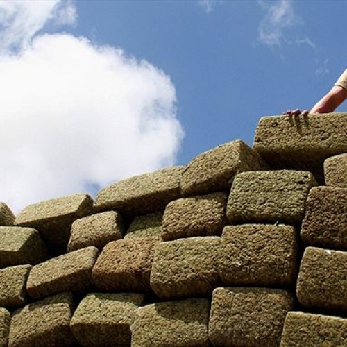 Bricks Of Weed