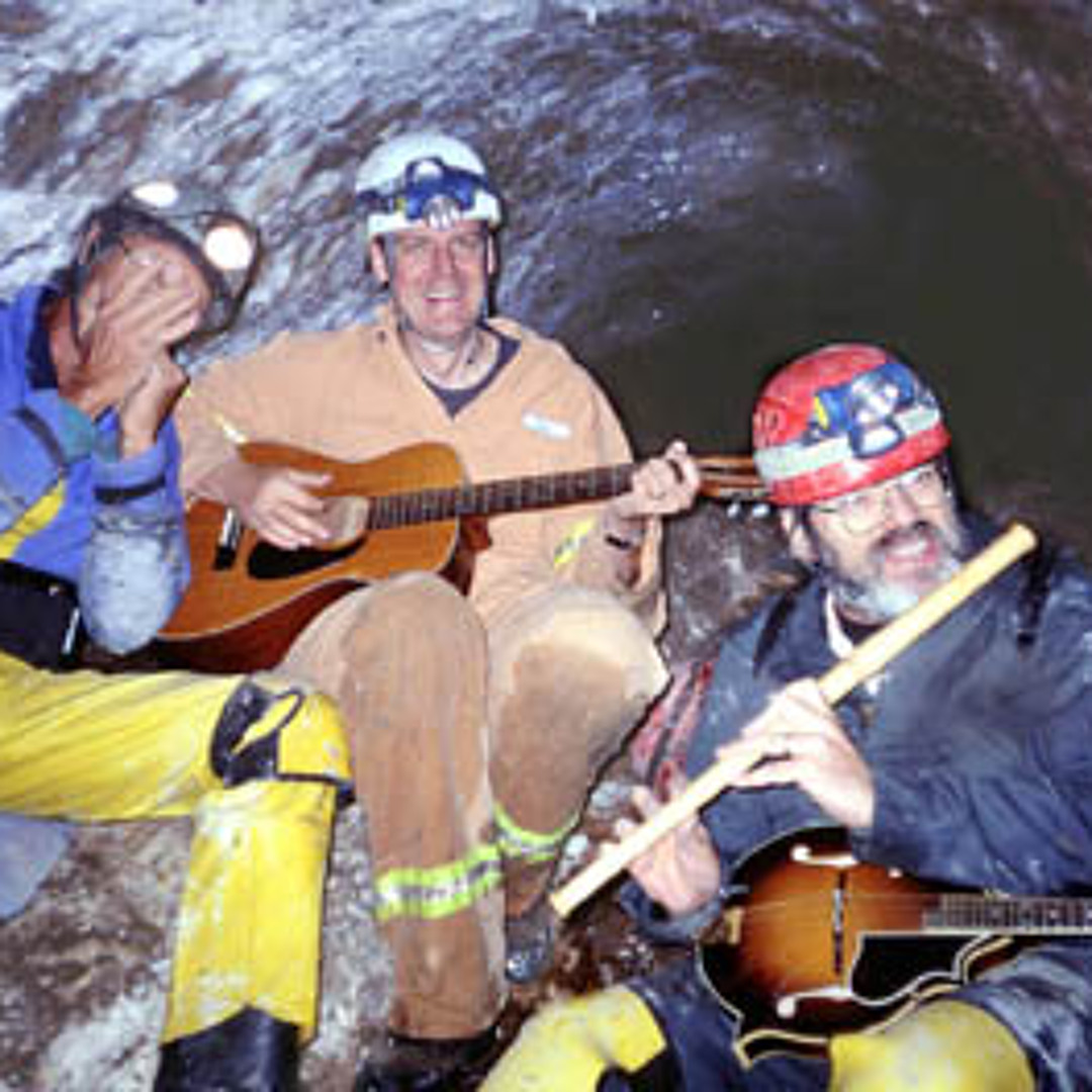 Stream Dangerous Dick and the Duckbusters - Creepy Crawlways by Adam La ...