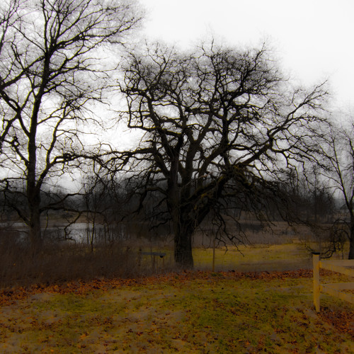 Stream No More Summer by Christian Lindquist | Listen online for free ...