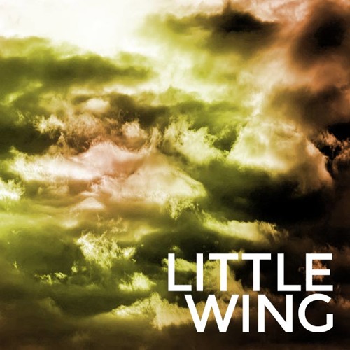 Stream Little Wing (cover) by ::z/Bones:: | Listen online for free on ...