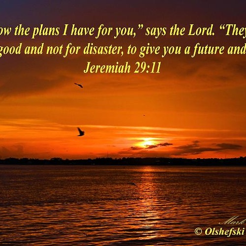 Stream ngeite05 | Listen to pohnpei song playlist online for free on ...