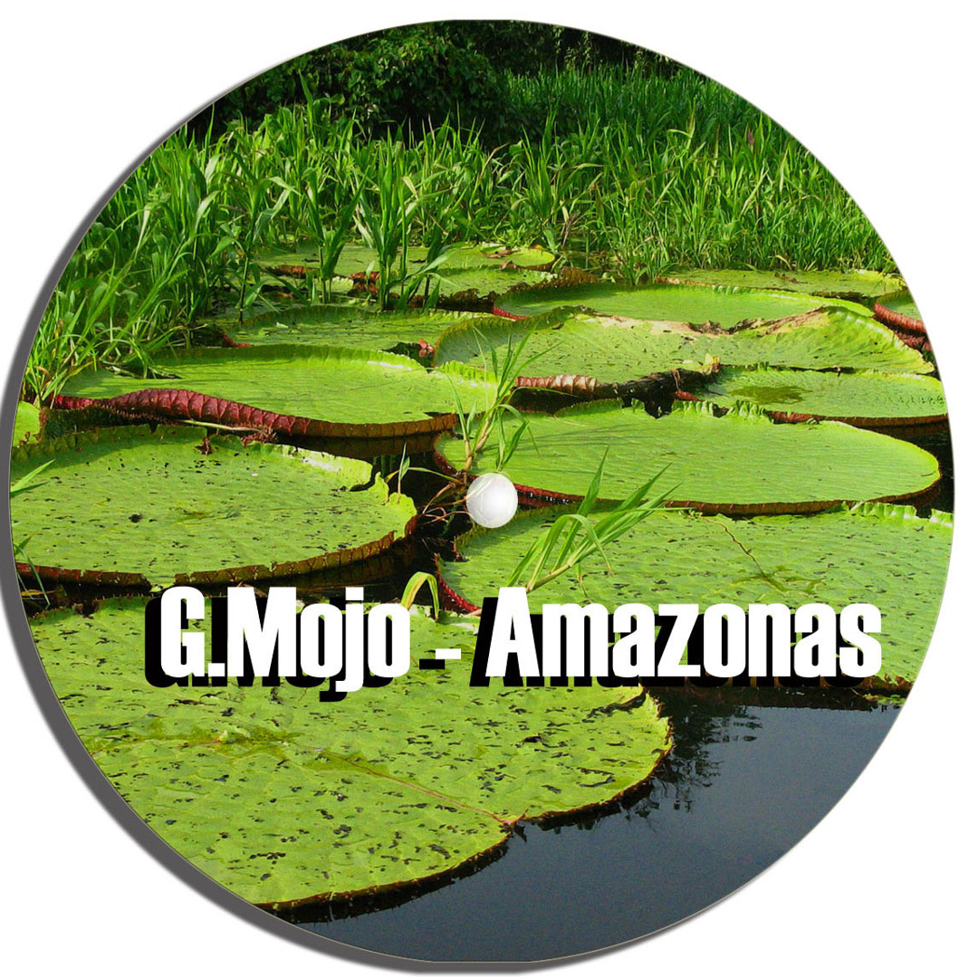 Stream G.MOJO - Amazonas by G. MOJO | Listen online for free on SoundCloud