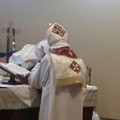 Stream The feast of wedding of Cana of Galilee - Fr. Mikhail Aziz Abdou ...