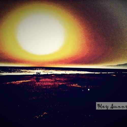 Stream Hey Sunny by The Fitz' | Listen online for free on SoundCloud