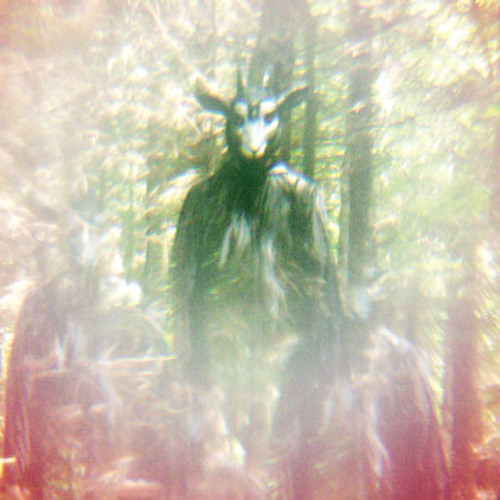 Stream MechaMorph - Skinwalker Forest by MechaMorph | Listen online for ...