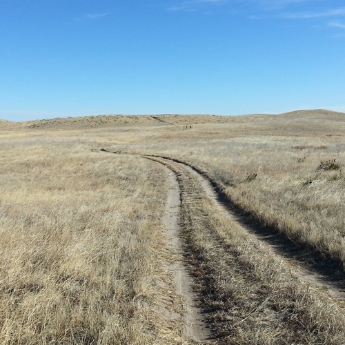 Stream Elsie Adams History by rjstewart30 | Listen online for free on ...