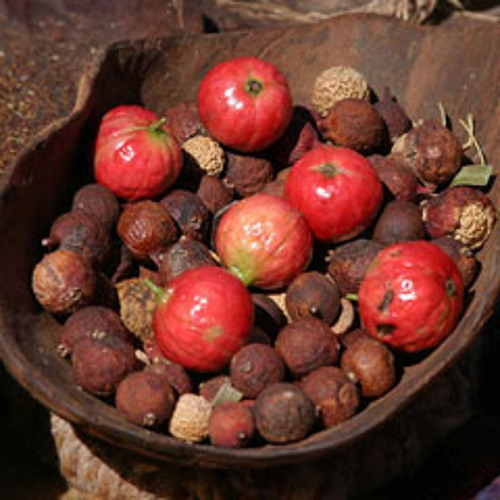 Stream Mai - Bushfoods - Uluru Kata Tjuta National Park by ...