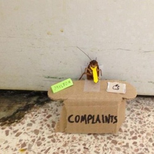 Listen to playlists featuring Remix Instrumental Sub by Yuob online for ...