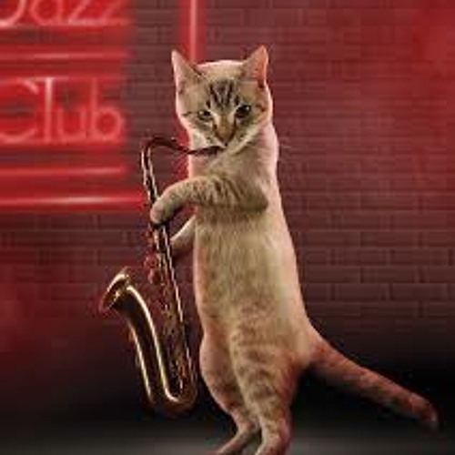 Stream Tokalosh & Tom White _ Underground Cats by Tokalosh | Listen ...