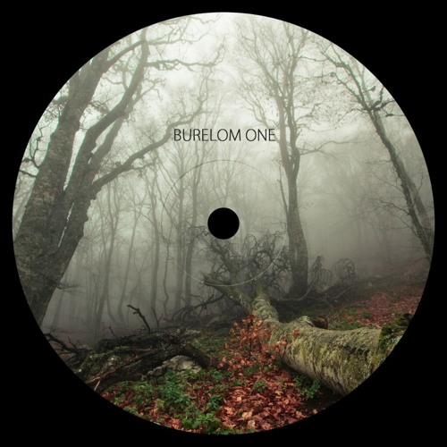 Stream Hidden Element Liquid Break Ft Kiyomi I See The Light 2014