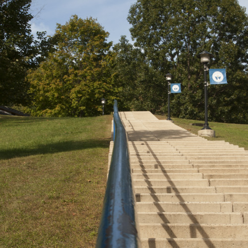 Stream Matthew Gula | Listen to audiomachine playlist online for free ...