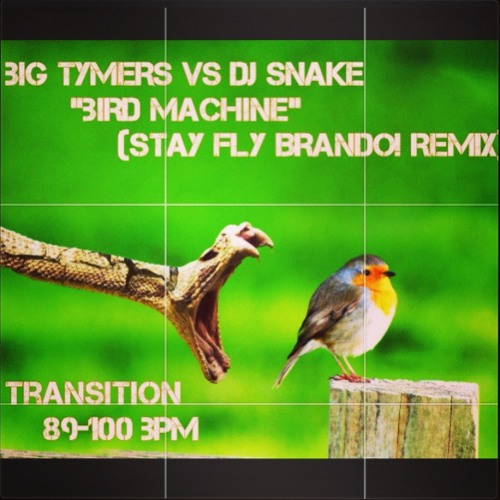 Dj Snake Bird Machine