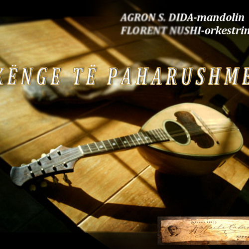 Stream Agron S. Dida & Florent Nushi-7 by Jetkarahoda | Listen online ...