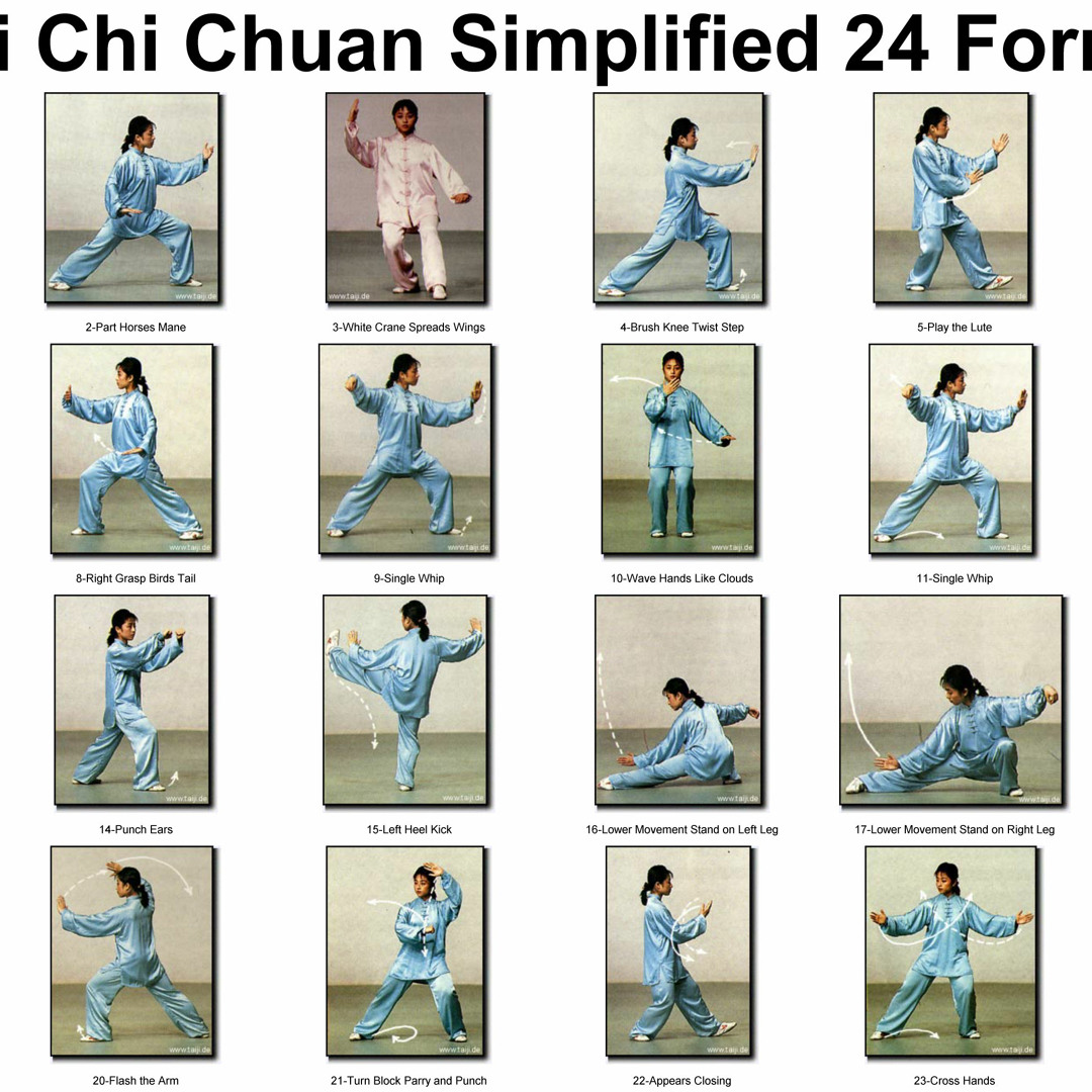 Stream Tai Chi 24 form music by Wildan Karim 7 | Listen online for free ...