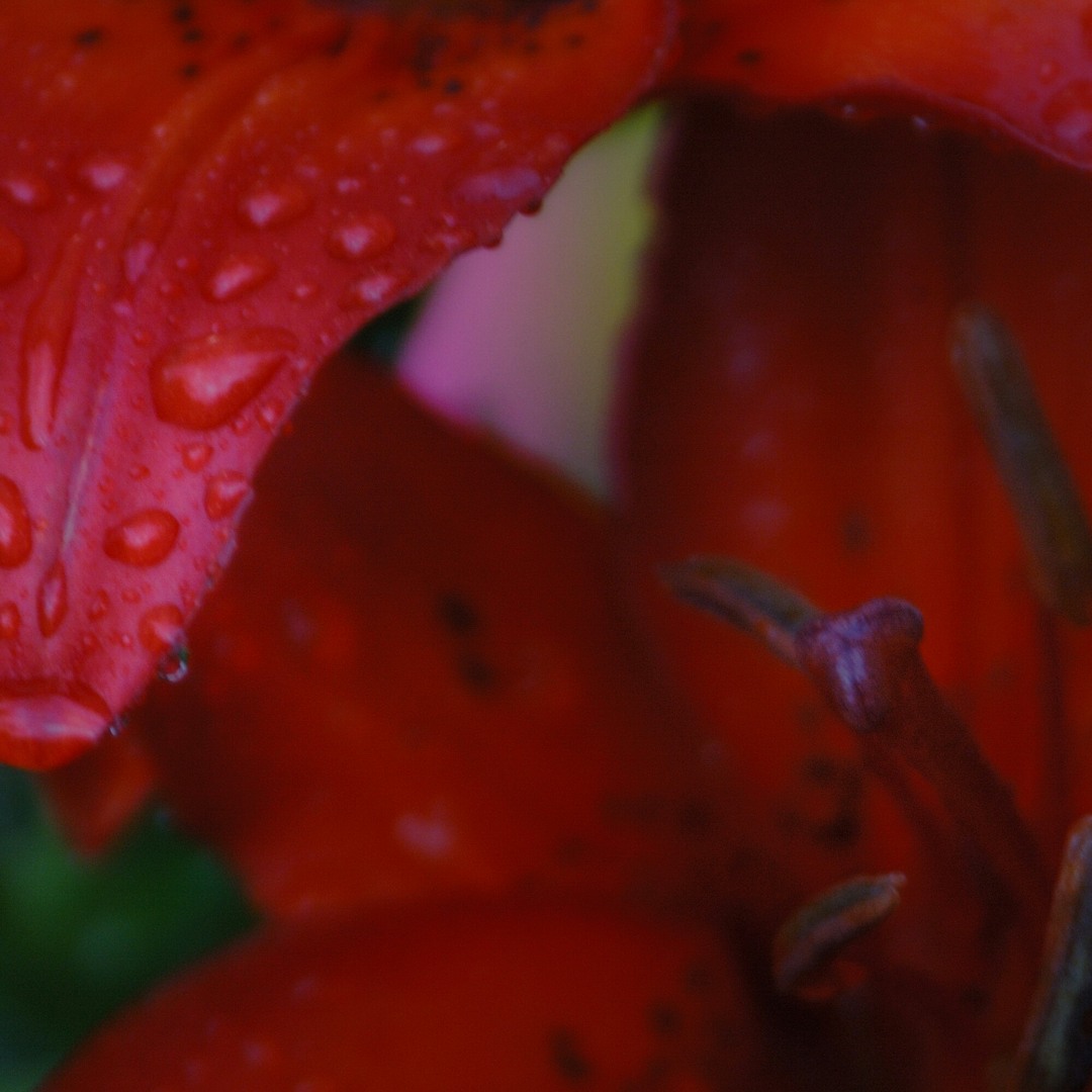 Stream "Can Eye... " by Sonya Frazier | Listen online for free on ...