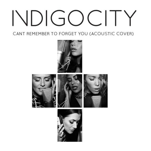 Stream Shakira and Rihanna Cant Remember To Forget You - Acoustic Cover ...