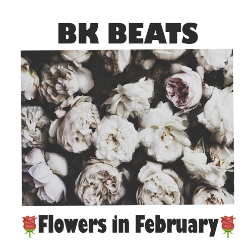 BK Beats - Spinning :: Indie Shuffle