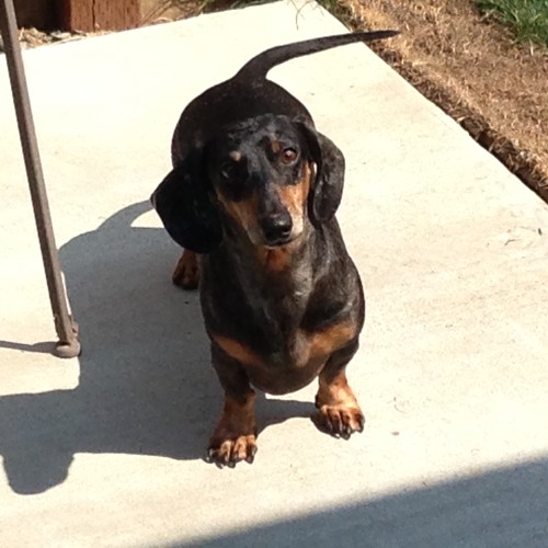 Stream Ben Ajhar | Listen to Nathan List playlist online for free on ...