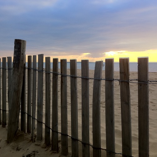Stream Traces sur le sable de l'île de Ré by alfred.knapp_LR | Listen ...