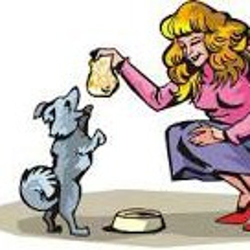 Listen to feed- fed at يطعم- أطعم by English vocabulary in irregular ...