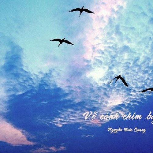 Stream Vỗ Cánh Chim Bay by Pia Nguyen | Listen online for free on ...