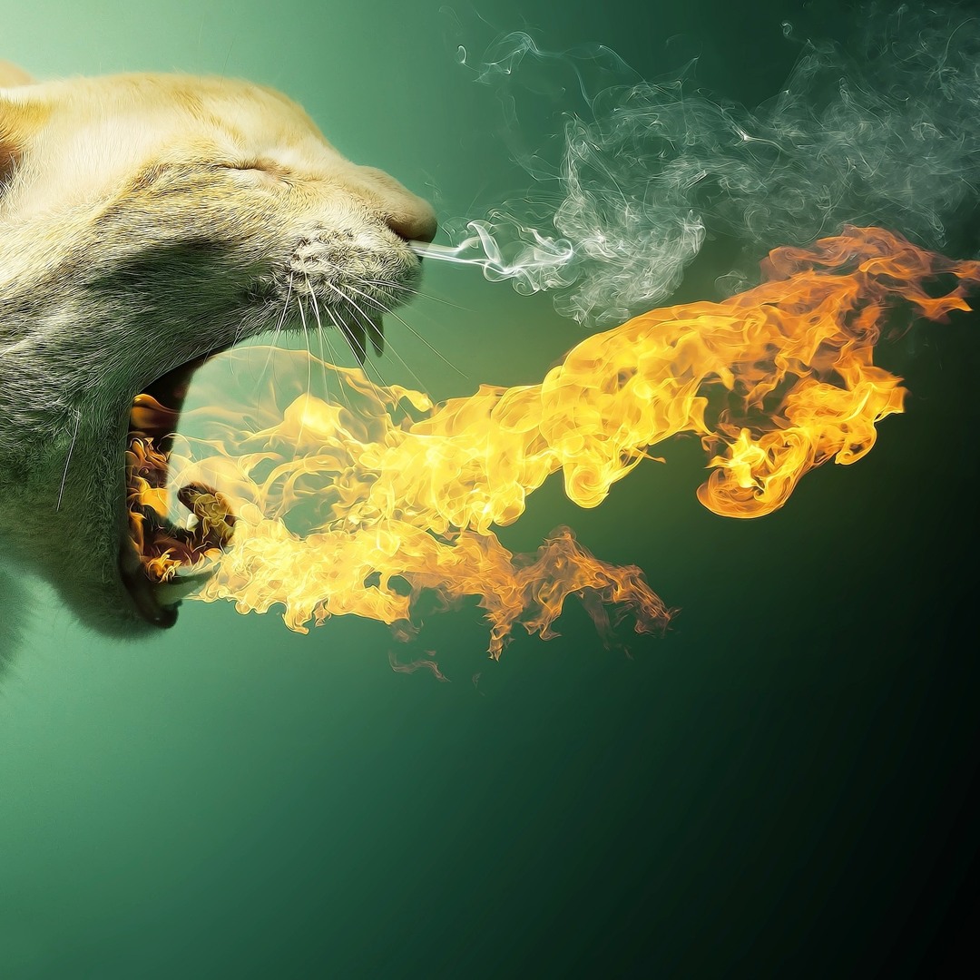 Stream Eyez [SPITFIRE] [PT.2] Prod By. Strapz AKA StraperDubville by ...