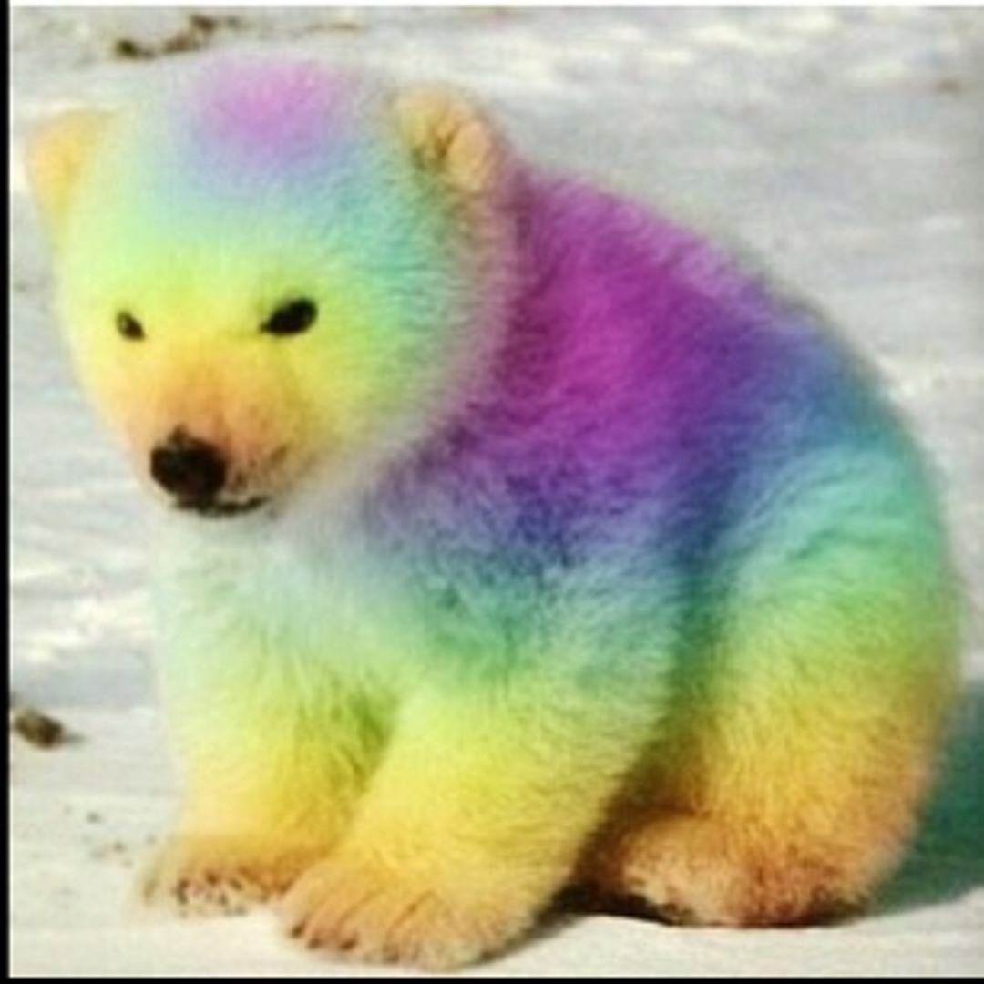 Stream Timber By Kesha Ft Pit bull by Allison Rettig | Listen online for free on SoundCloud