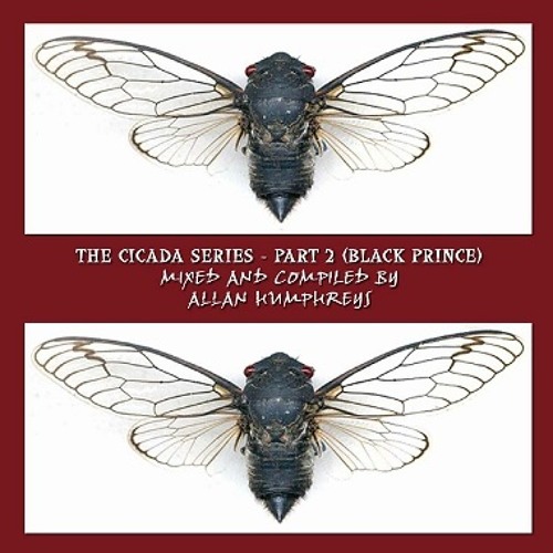 Stream The Cicada Series (Part 2) [Black Prince] by allanhumphreys ...