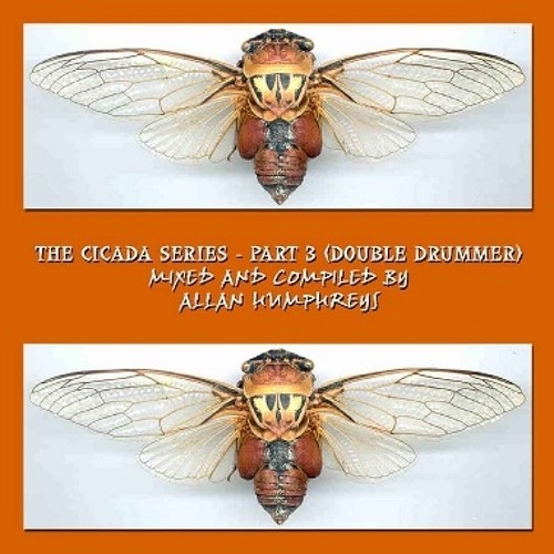 Stream The Cicada Series (Part 3) [Double Drummer] by allanhumphreys ...