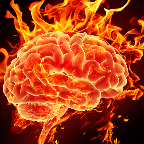 Stream Too Smart By Half by Living Fossils | Listen online for free on ...