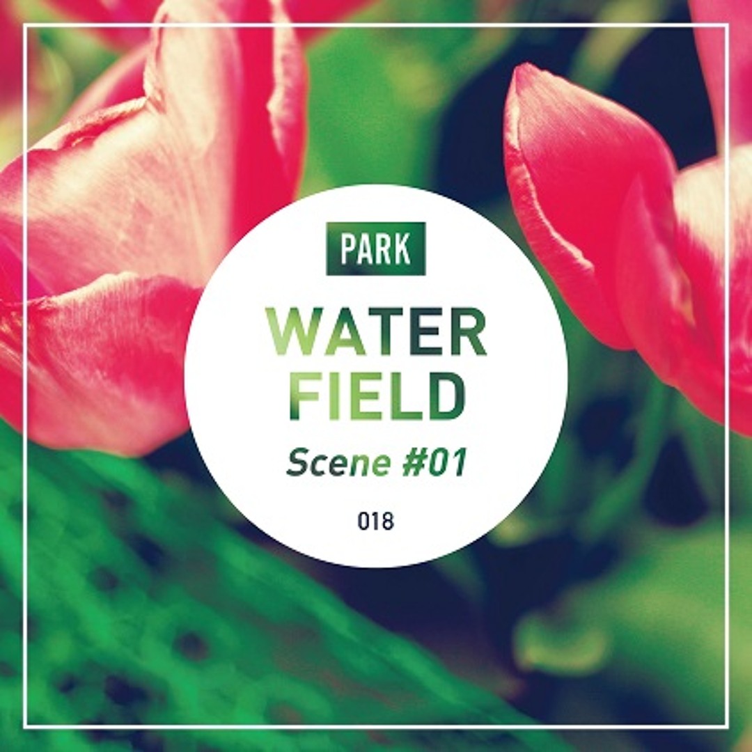 Stream WATER FIELD / Past Tense (preview) by PARK | Listen online for ...