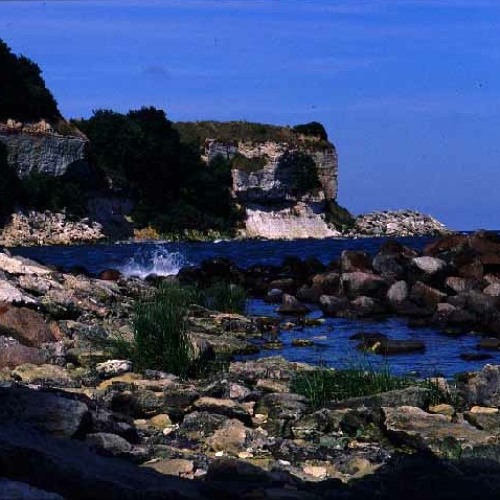 Stream Stenet Strand by haiku / The Haiku Project | Listen online for free on SoundCloud