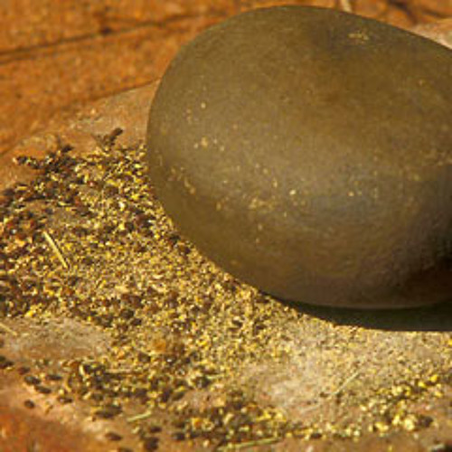 Stream Tjungari - Tools - Uluru Kata Tjuta National by parksaustralia ...