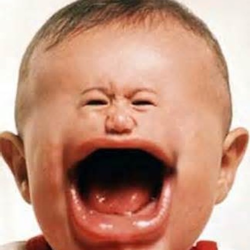 Stream BIg Head - Boy Gator Feat. Pookie by rollinrichmusicgroup ...