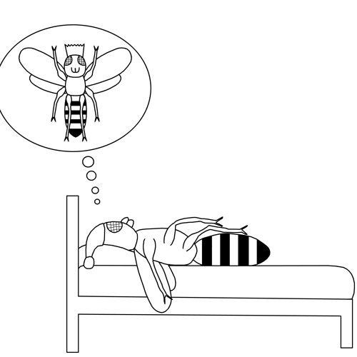 Stream Circadian Rhytms and Insect Sleep by InsectPhysiologyGroup ...