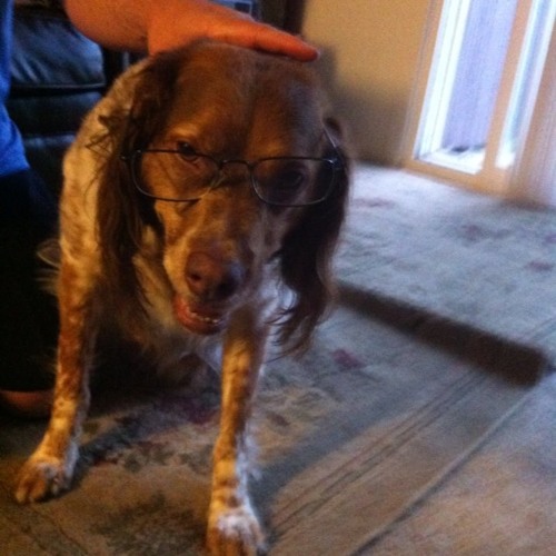 Stream me singing a filipino song and shit by jennifer sickles | Listen ...