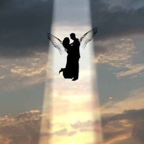 Stream Rise In Love by Dan Fefferman | Listen online for free on SoundCloud