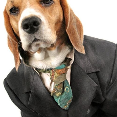 Listen to music albums featuring Welcome Back To Dog News by Your Text ...