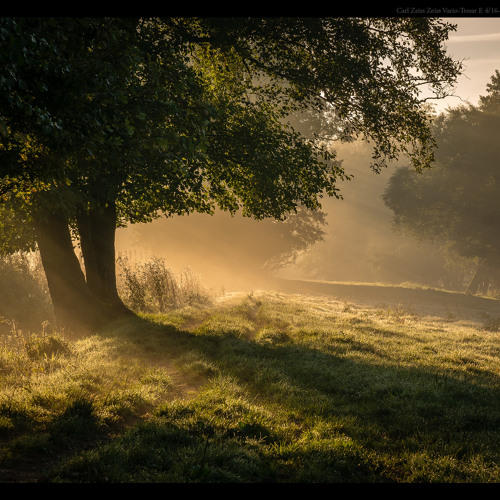 Stream If I Didn't Know Better - Laurel Wageman ft. Cody Lindblom by ...