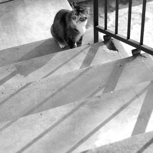 Stream Recording for Spencer by Charles Reneau | Listen online for free ...