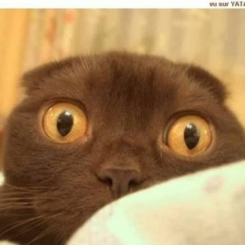 Stream Geoff Thomason | Listen to The Hairy Lollies playlist online for ...