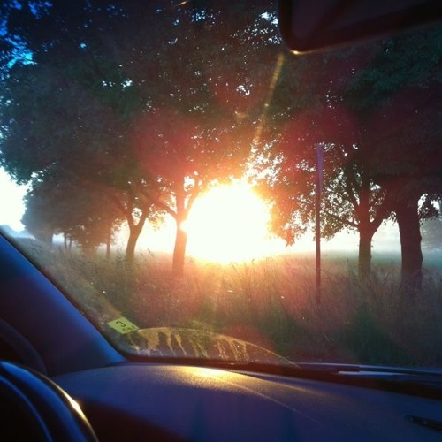 Stream Franziska Straubel | Listen to nhhhb playlist online for free on ...