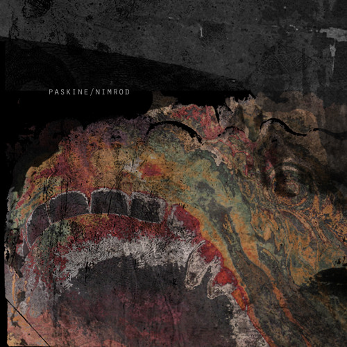 Stream Nimrod by Paskine | Listen online for free on SoundCloud